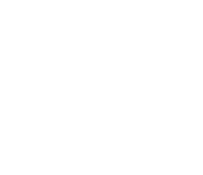 Home - Fast Growth Icons